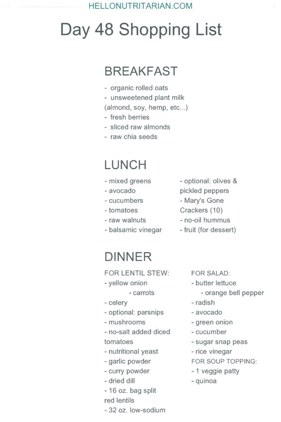 40 Grocery Shopping List Templates (100% FREE)